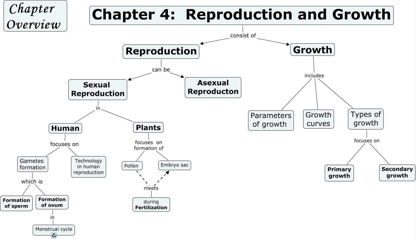 Chapter Overview Form 5 Biology C4